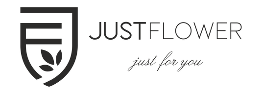 Blumen online bestellen | Versand in 24h – justflower.ch